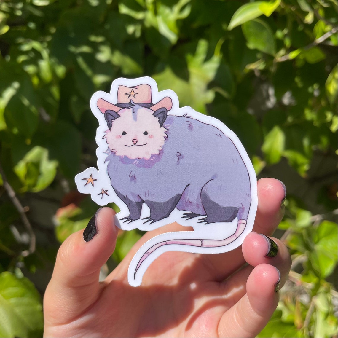 Funky Possum Sticker Set Cute & Funny Possum Stickers Cute - Etsy