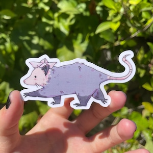 Funky Possum Sticker Set Cute & Funny Possum Stickers Cute Animal ...