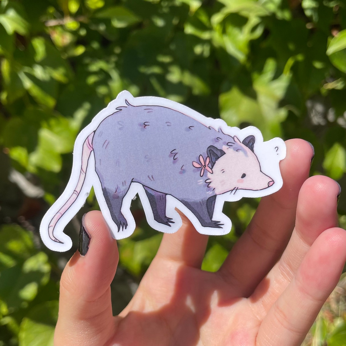 Funky Possum Sticker Set Cute & Funny Possum Stickers Cute - Etsy