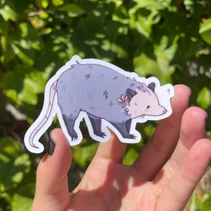 Funky Possum Sticker Set Cute & Funny Possum Stickers Cute Animal ...