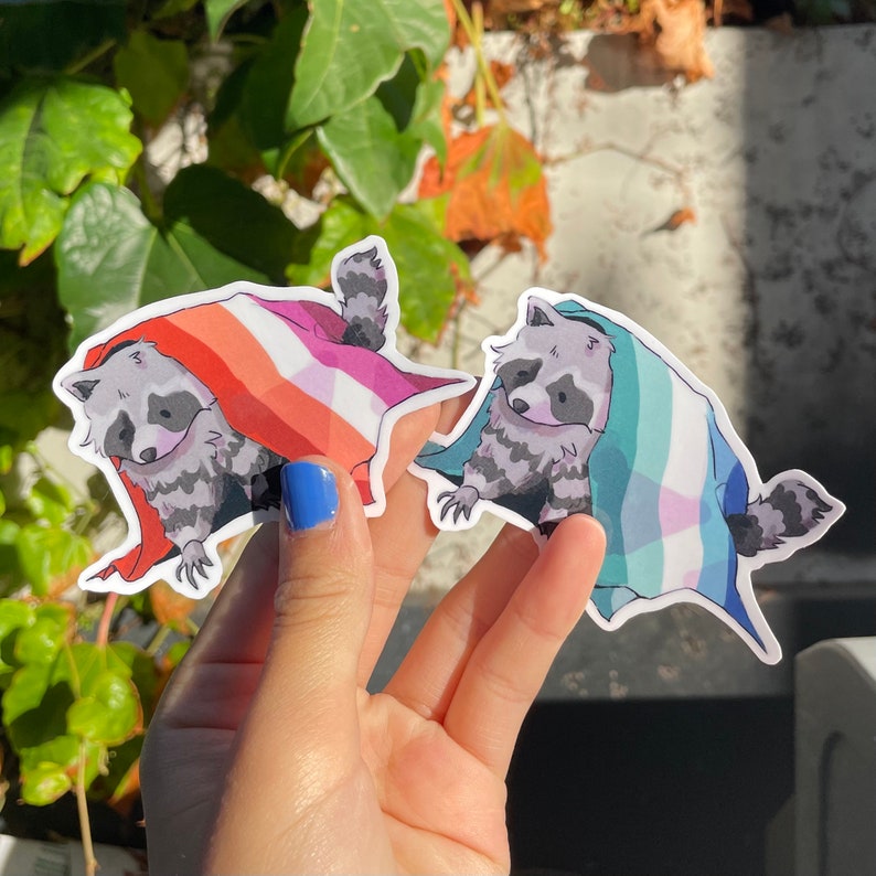 Pride Raccoon Stickers Cute Animal Stickers Water - Etsy