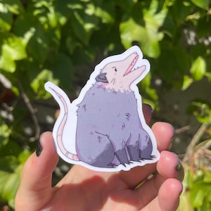 Funky Possum Sticker Set Cute & Funny Possum Stickers Cute Animal ...