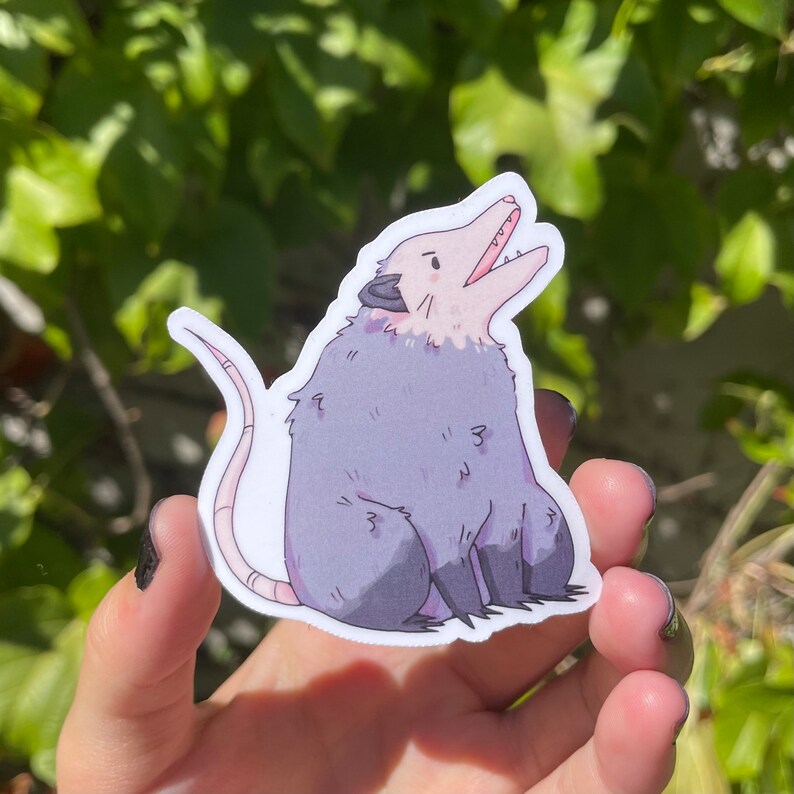 Funky Possum Sticker Set Cute & Funny Possum Stickers Cute - Etsy