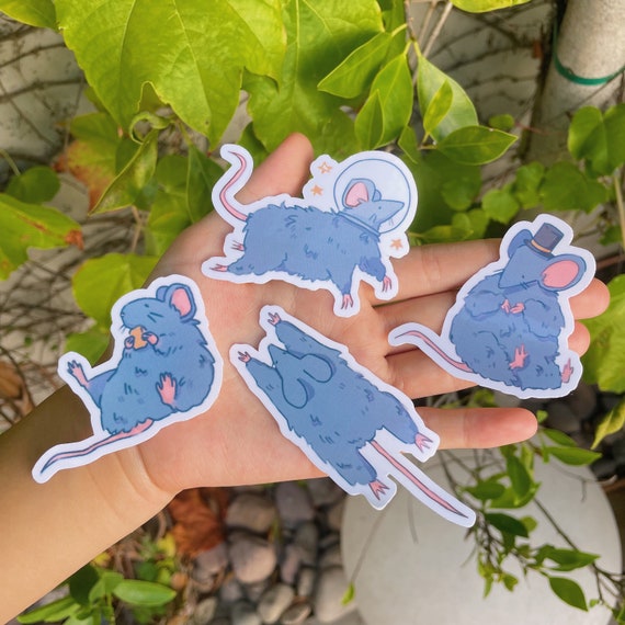Funky Rat Sticker Set Cute Funny Animal Stickers Water - Etsy