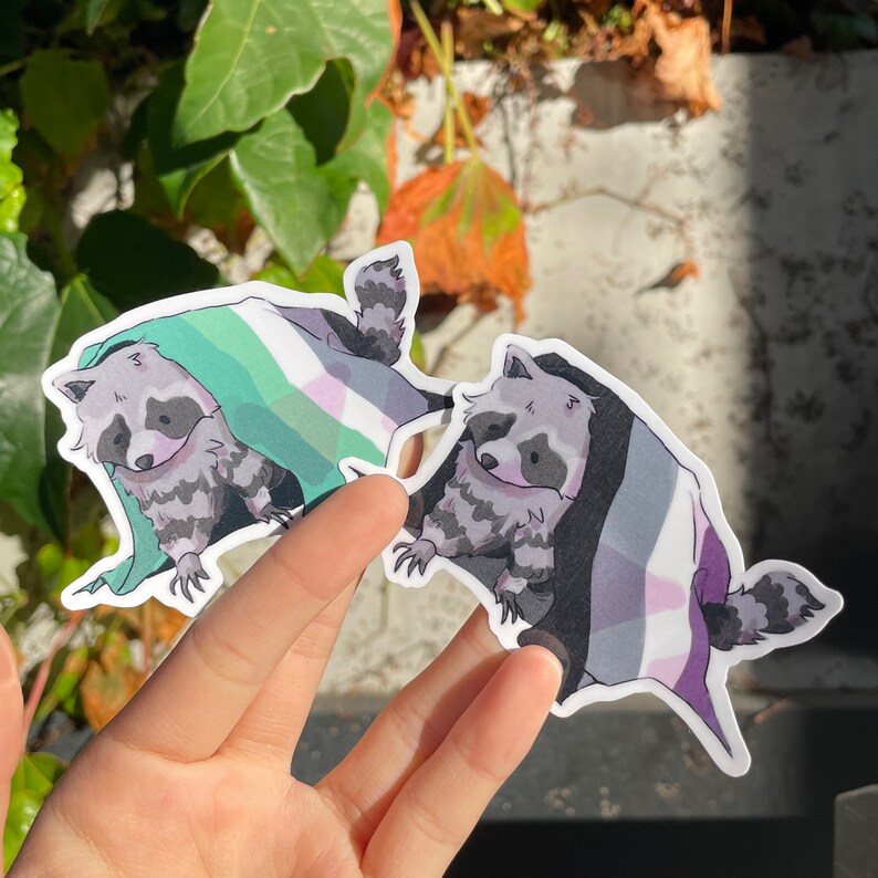 Pride Raccoon Stickers Cute Animal Stickers Water - Etsy