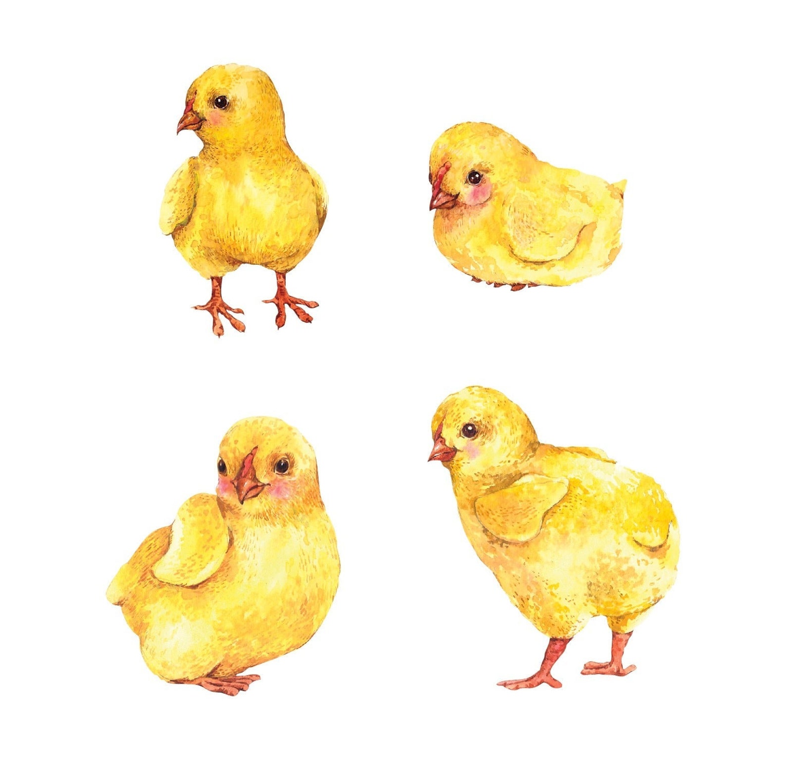 Baby Chick Decals — REMOVABLE/REUSABLE Fabric Car Decal/wall Decal ...