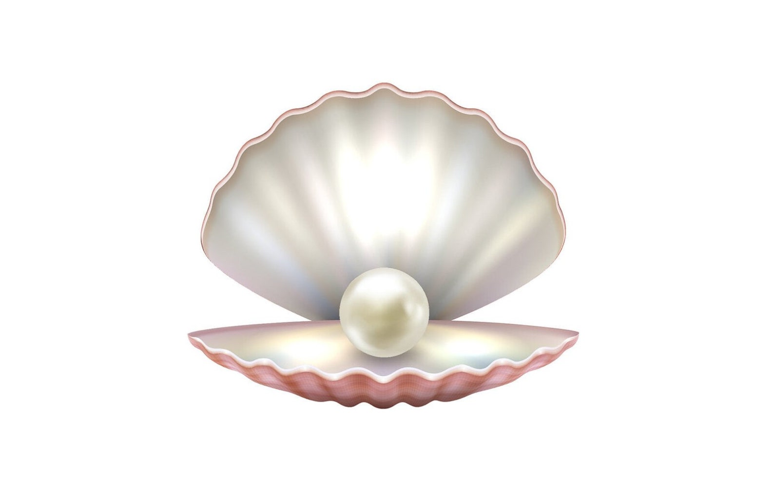 Lg Clam Shell Car Hood Decal Premium Fabric Art Car Decal, Peel & Stick ...