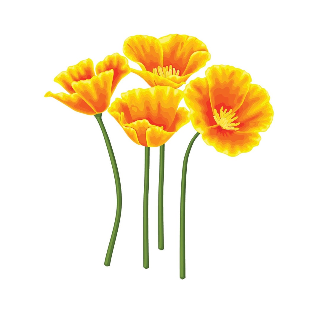 California Poppy Decals — Premium Fabric Art Car Decal, Peel & Stick ...