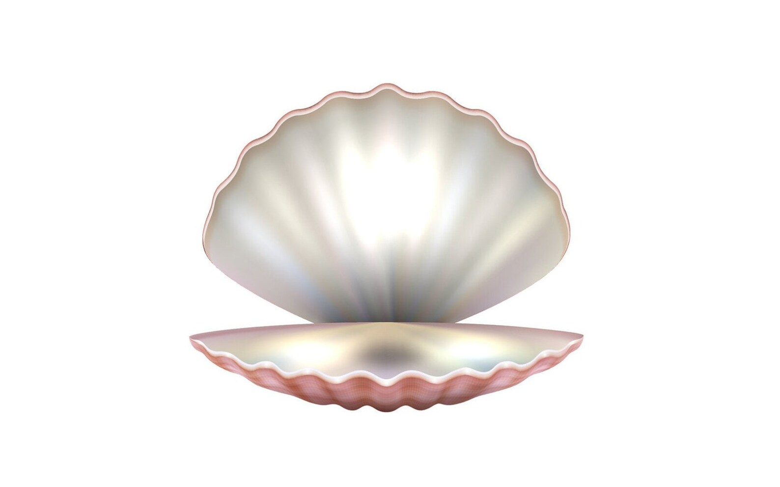 Lg Clam Shell Car Hood Decal Premium Fabric Art Car Decal - Etsy