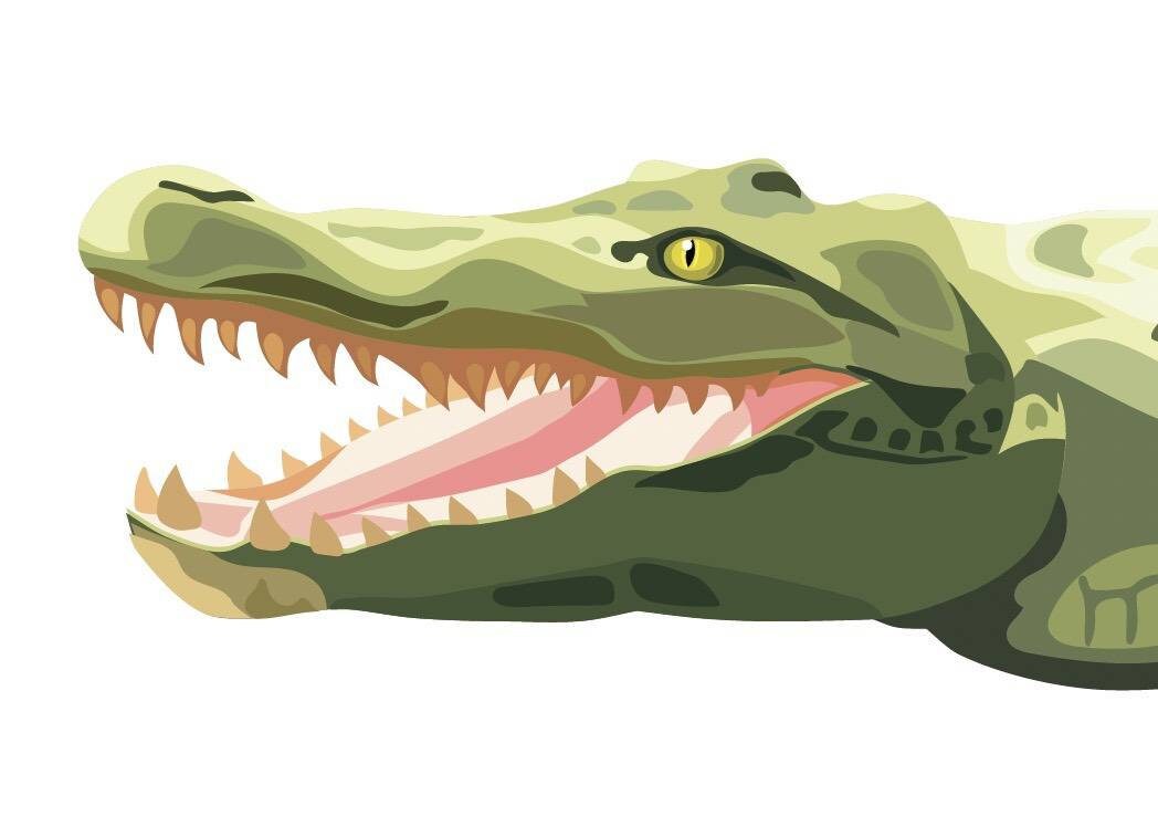 Enormous Alligator Decal — Premium Fabric Art Car Decal, Peel & Stick ...