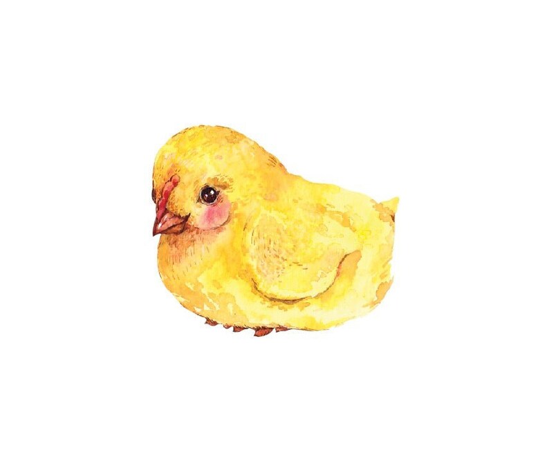 Baby Chick Decals REMOVABLE/REUSABLE Fabric Car Decal/wall - Etsy