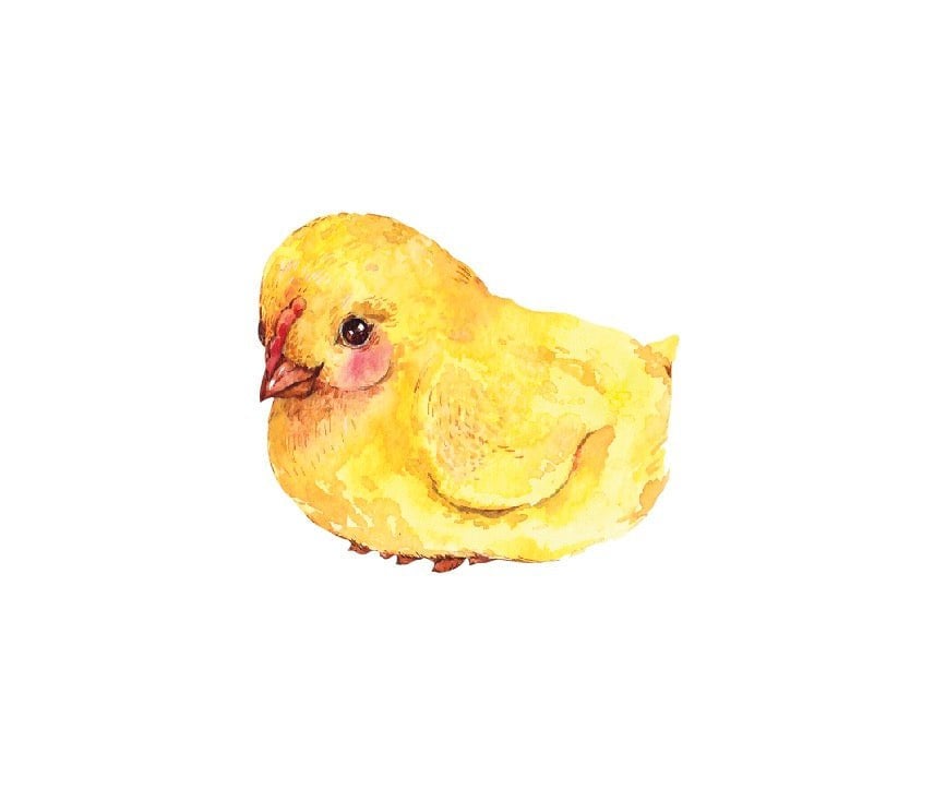 Baby Chick Decals REMOVABLE/REUSABLE Fabric Car Decal/wall - Etsy