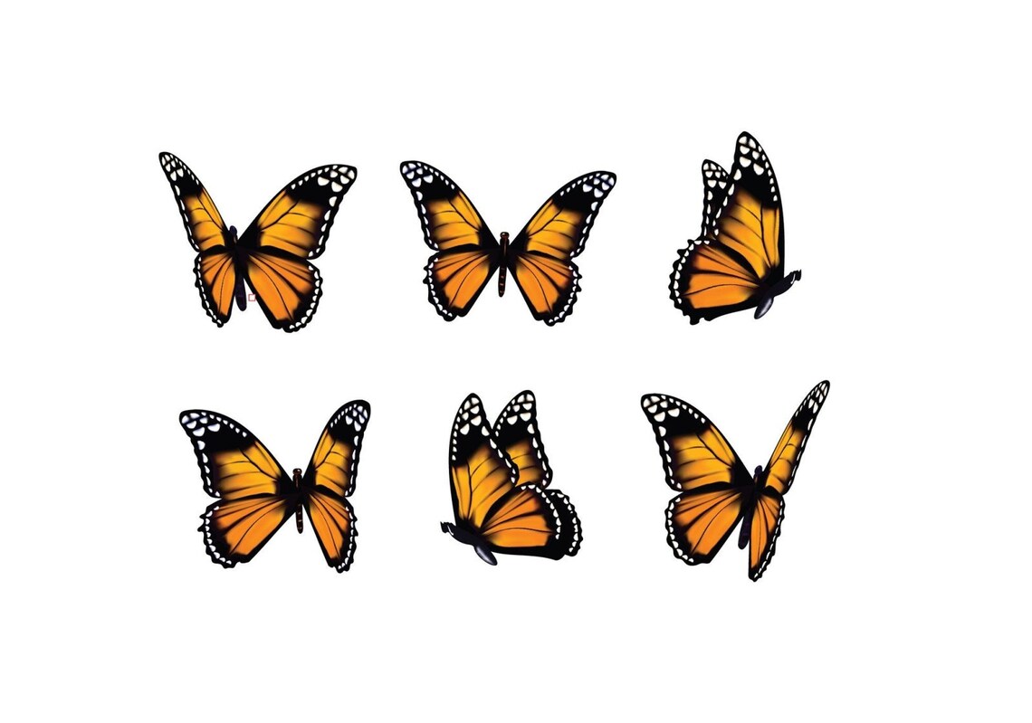 Monarch Butterfly Decals — Premium Fabric Art Car Decal, Peel & Stick ...