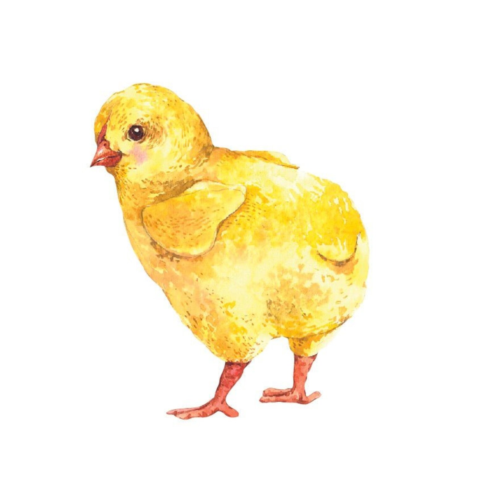 Baby Chick Decals REMOVABLE/REUSABLE Fabric Car Decal/wall - Etsy