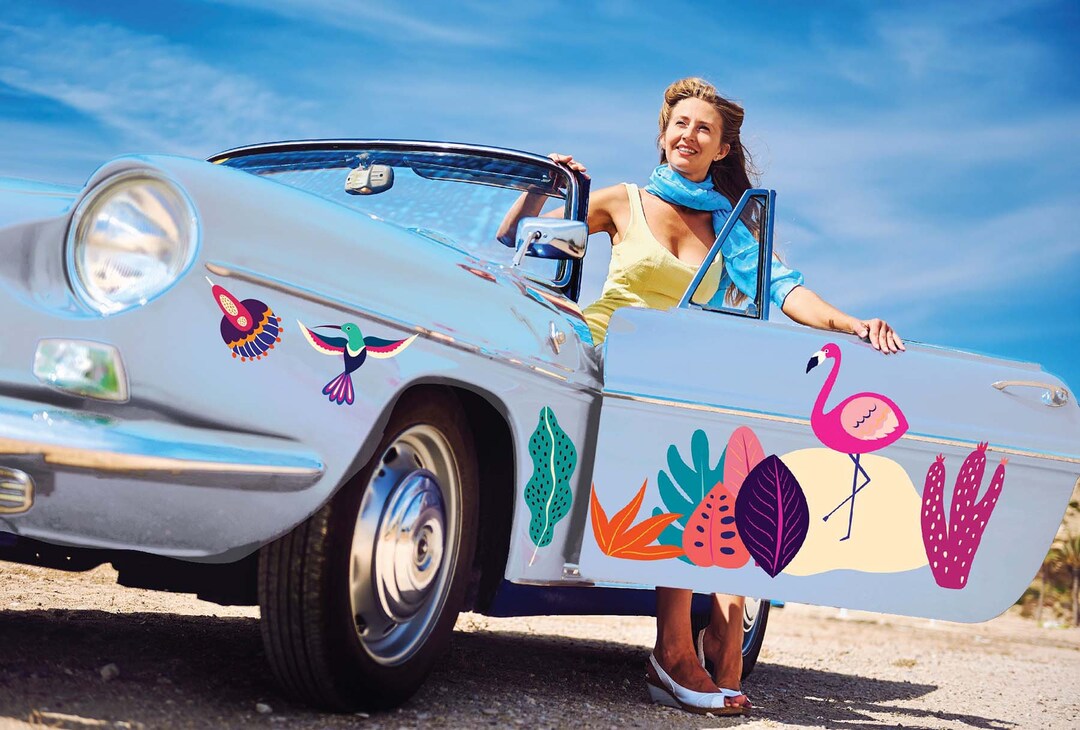 Rio Collection Tropical Car Decals Reusable Stickers Set of Simple ...