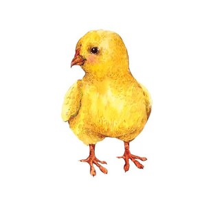 Baby Chick Decals — REMOVABLE/REUSABLE Fabric Car Decal/wall Decal ...