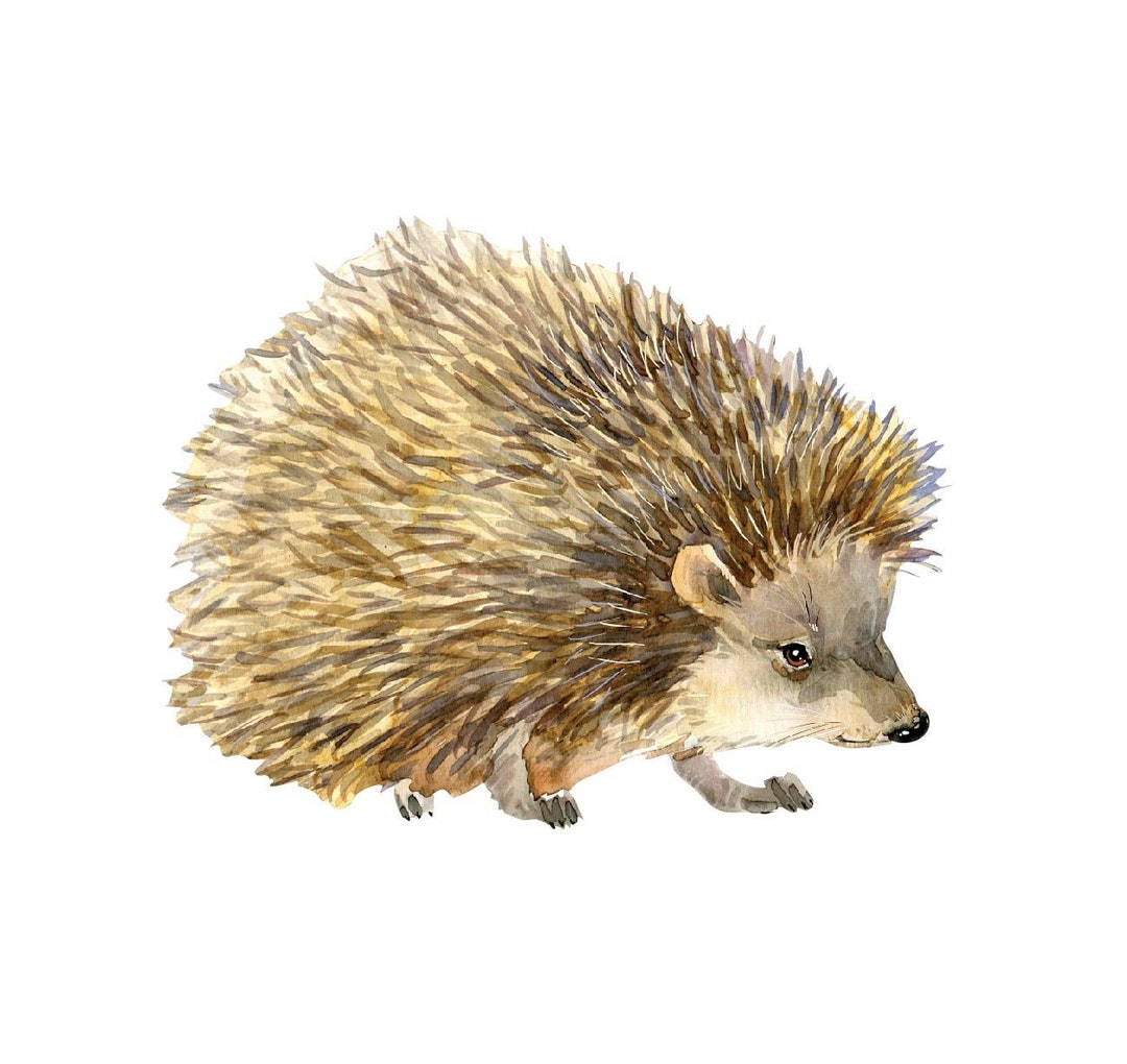 Hedgehog Decal — REMOVABLE/REUSABLE Fabric Car Decal/wall Decal/sticker ...