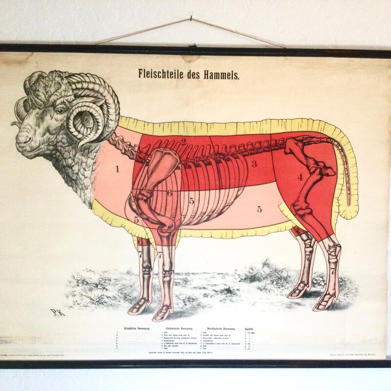 Butcher Chart - Etsy
