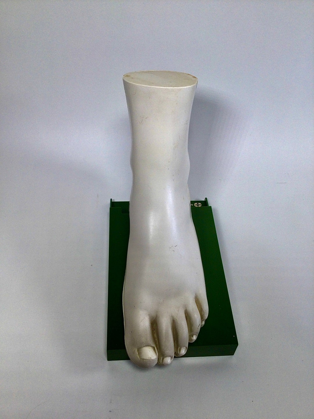 Anatomical Model of Human Foot - Etsy