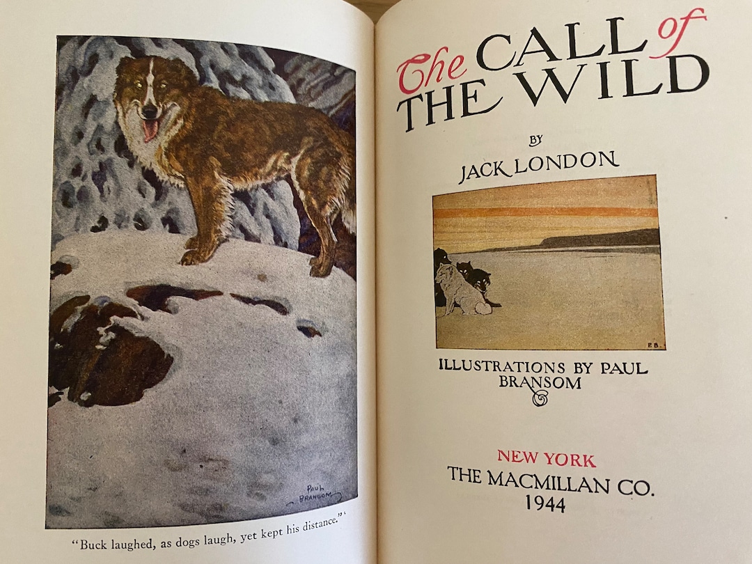 The Call of the Wild by Jack London Vintage Rare Beautifully ...