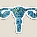 Uterus Sticker Gynecology Sticker Gynecology Art Cervical Cancer ...