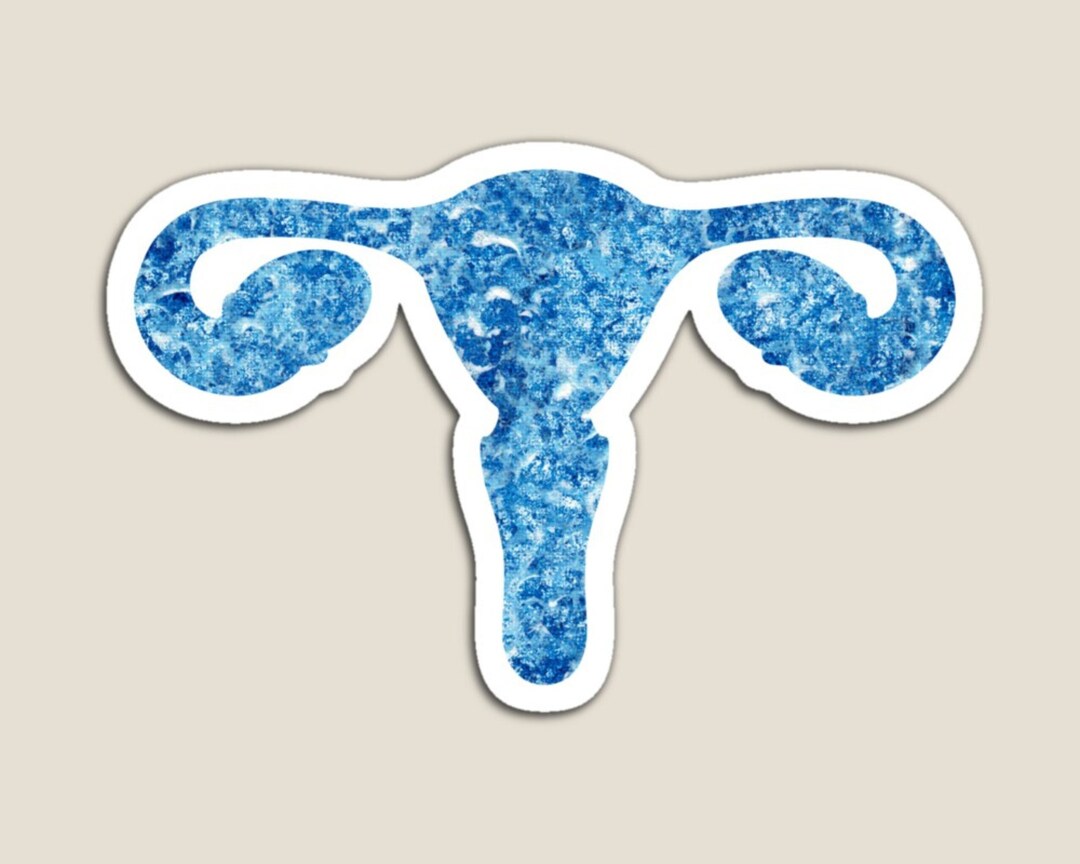 Uterus Sticker, Uterus Art Gynecology Sticker, Gynecology Art ...