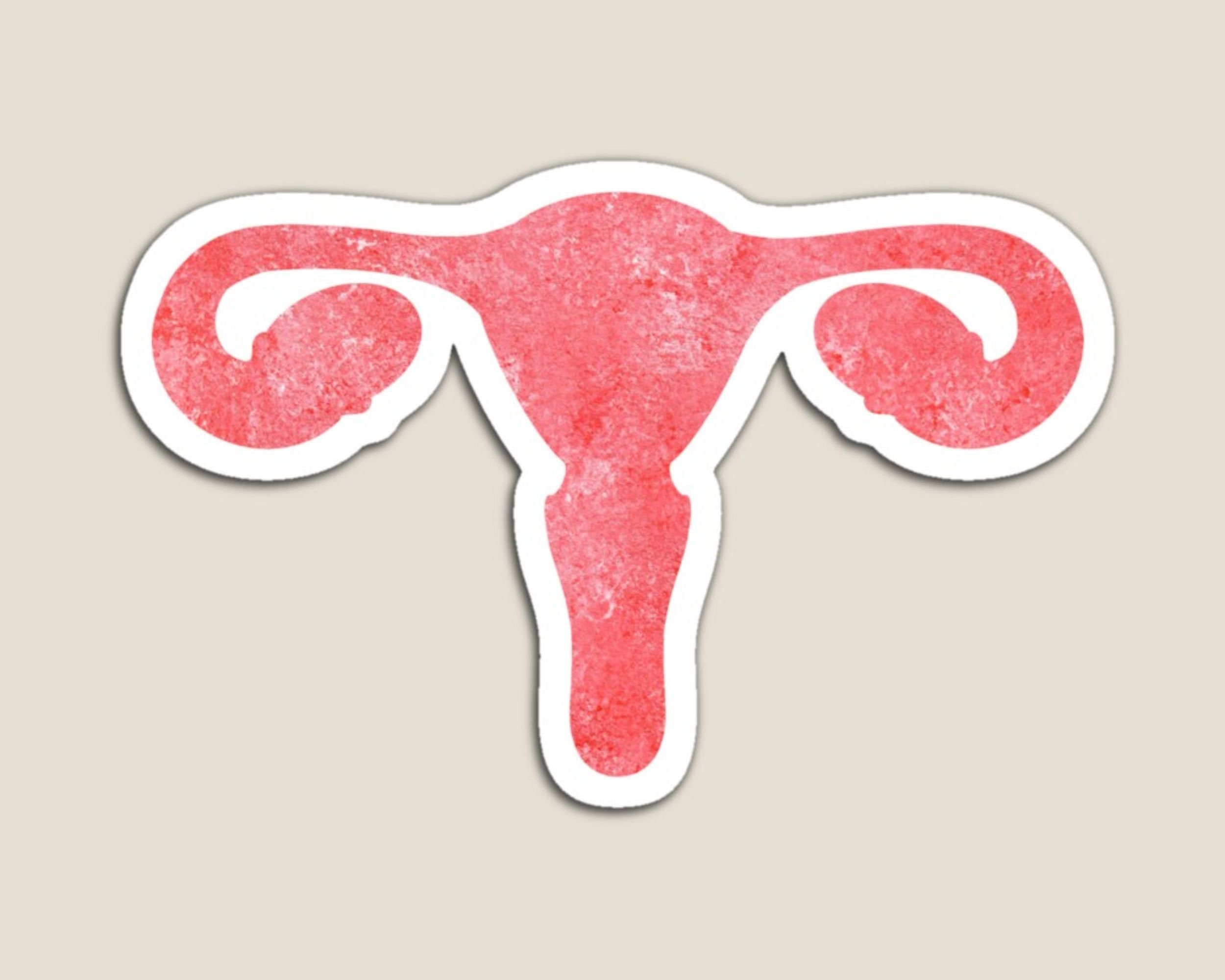 Uterus Sticker Gynecology Sticker Gynecology Art Anatomy Art ...