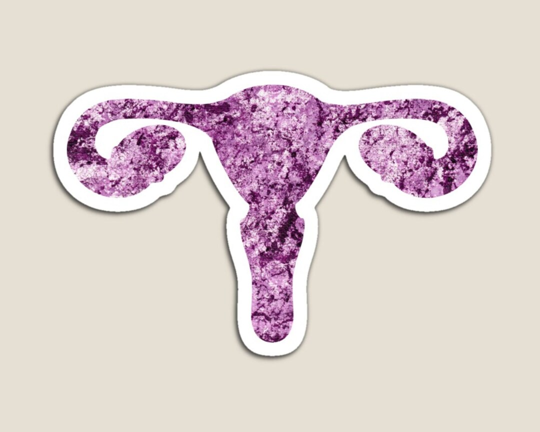 Uterus Sticker, Uterus Art Gynecology Sticker, Gynecology Art ...