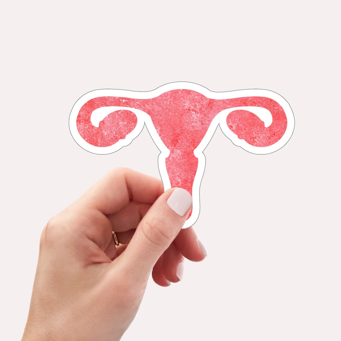 Uterus Sticker Gynecology Sticker Gynecology Art Anatomy Art ...