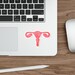 Uterus Sticker Gynecology Sticker Gynecology Art Anatomy Art ...