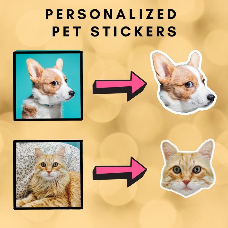 Custom Pet Stickers - Etsy