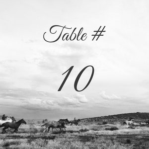 Black and White Wild Horses Printable Table Numbers 1 -10 - Etsy