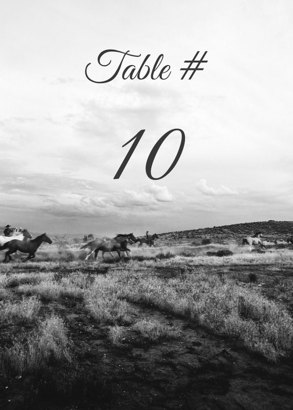 Black and White Wild Horses Printable Table Numbers 1 10 | Etsy