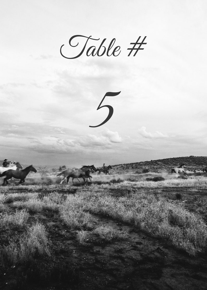 Black and White Wild Horses Printable Table Numbers 1 -10 - Etsy