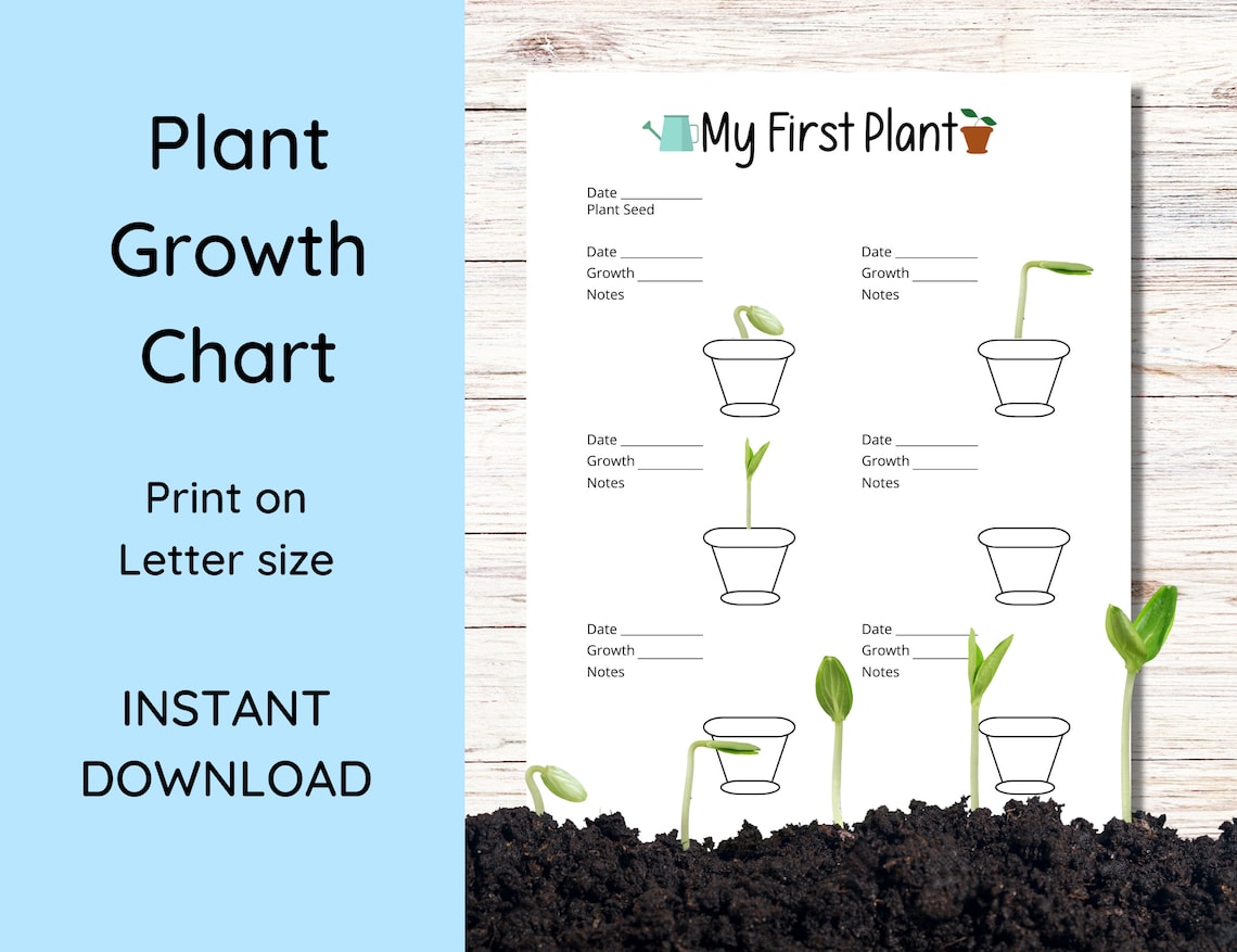 Plant Growth Chart for Kids, First Plant Log, US Letter PDF - Etsy