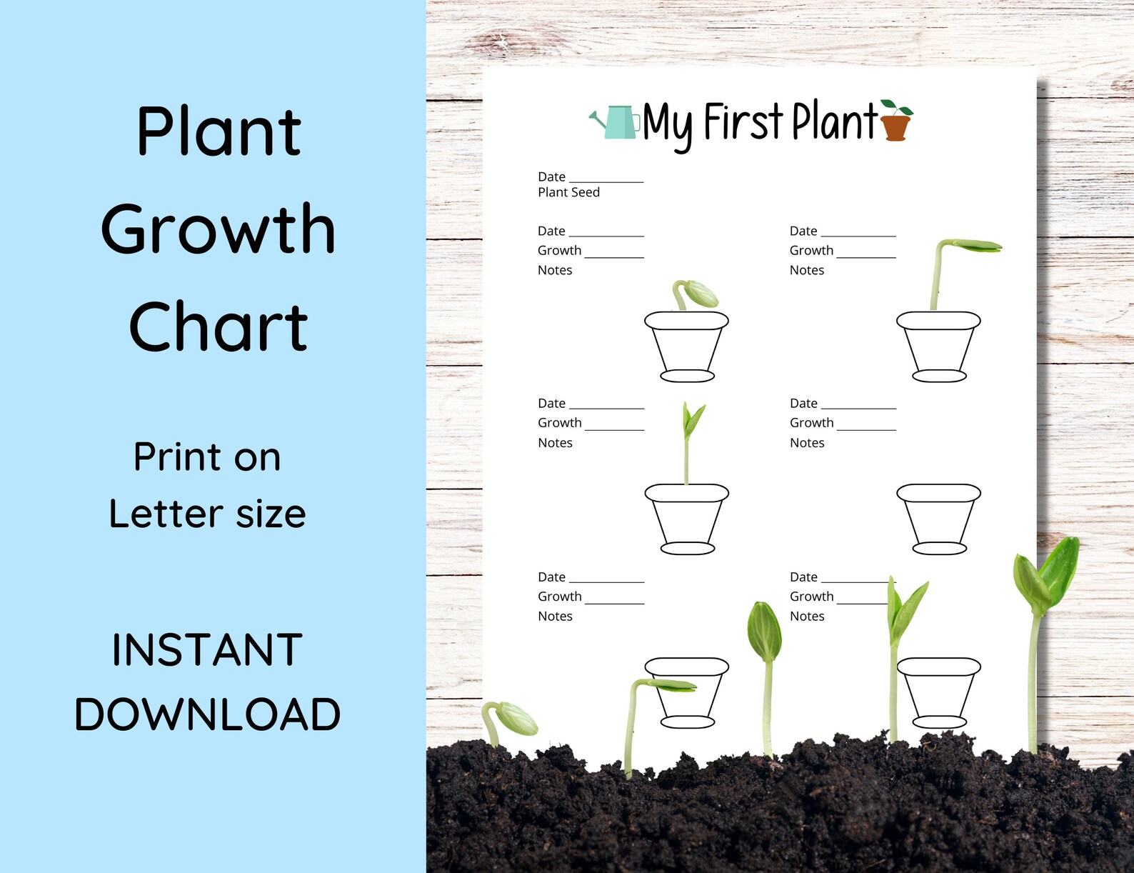 Plant Growth Chart for Kids, First Plant Log, US Letter PDF - Etsy