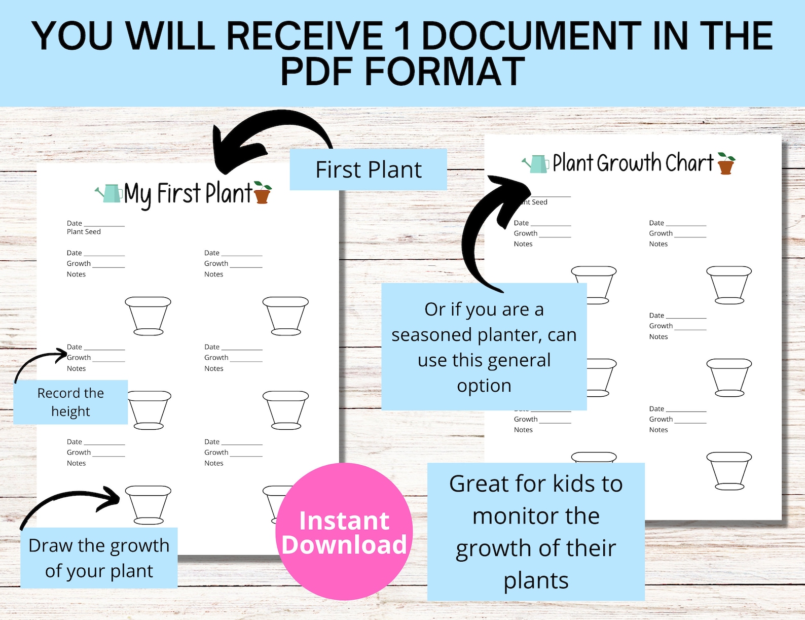 Kids Plant Growth Chart: First Plant Log (US Letter PDF) - Etsy