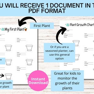 Plant Growth Chart for Kids, First Plant Log, US Letter PDF - Etsy