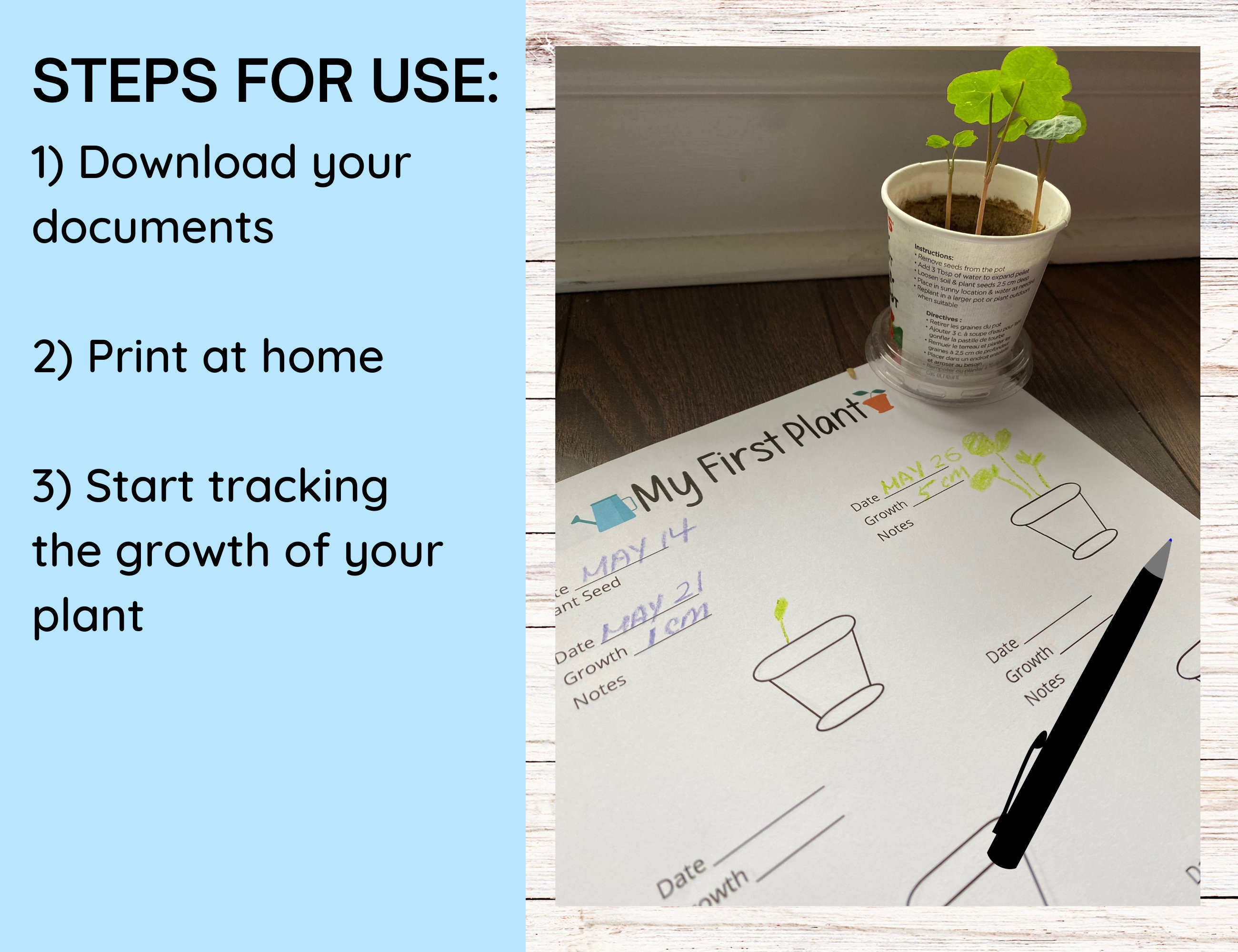 Kids Plant Growth Chart: First Plant Log (US Letter PDF) - Etsy