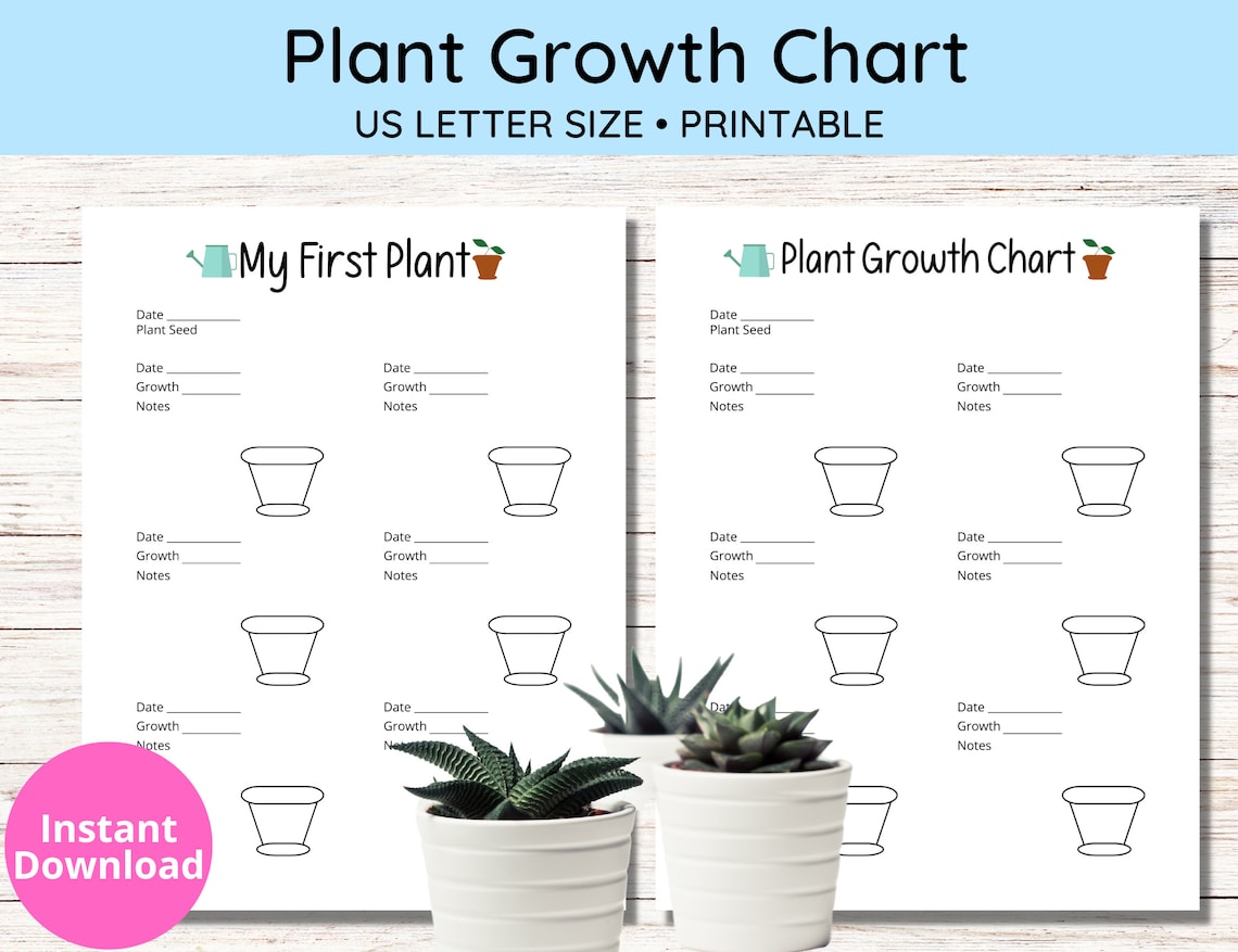 Plant Growth Chart for Kids, First Plant Log, US Letter PDF - Etsy