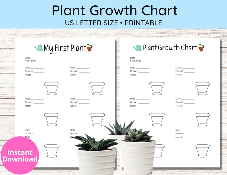 Plant Growth Chart for Kids, First Plant Log, US Letter PDF - Etsy