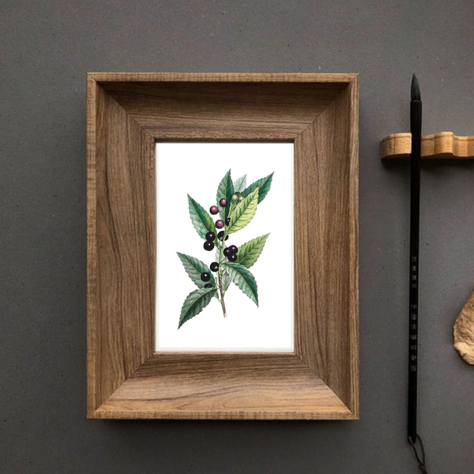 Botanical Prints Set of 9, Botanical Wall Decor, Plants, Flower Market ...