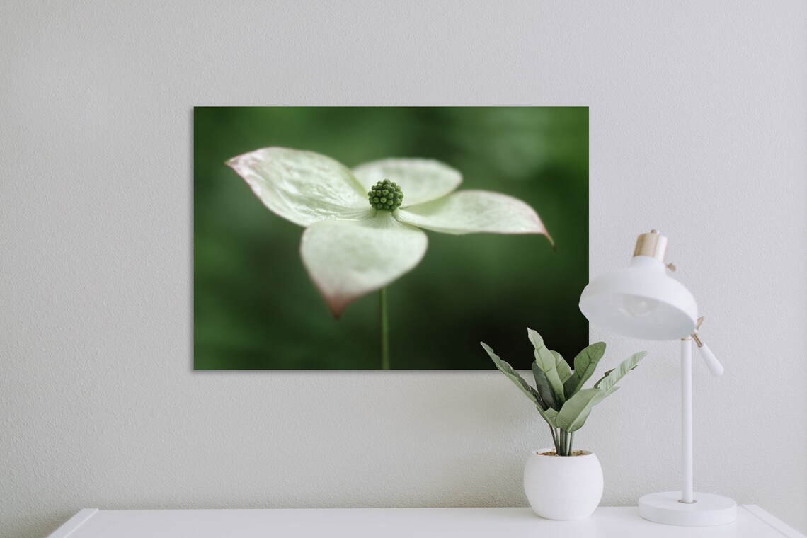 Printable Image: Trillium | Instant Download - Etsy
