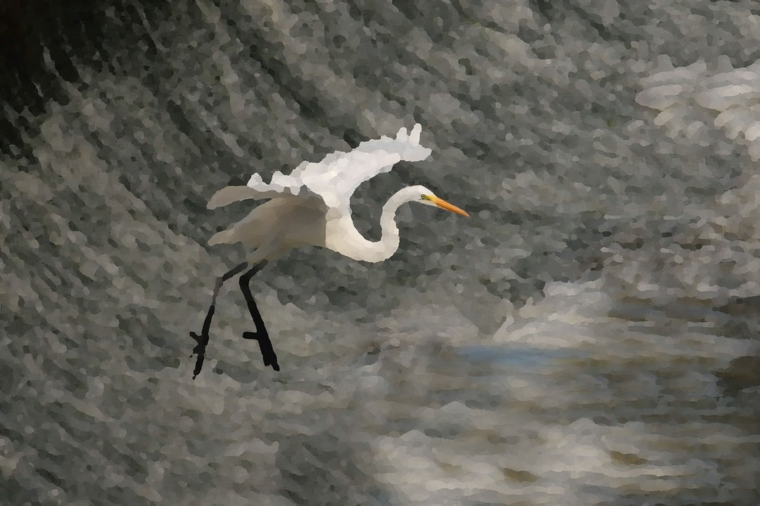 Stylized Egret | Direct Download - Etsy