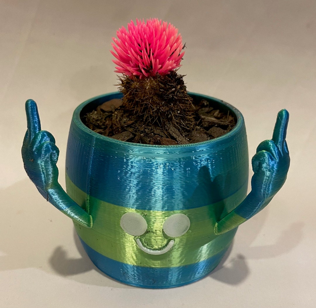Smiling Middle Finger Planter. Gag Gift. Flower Pot. - Etsy