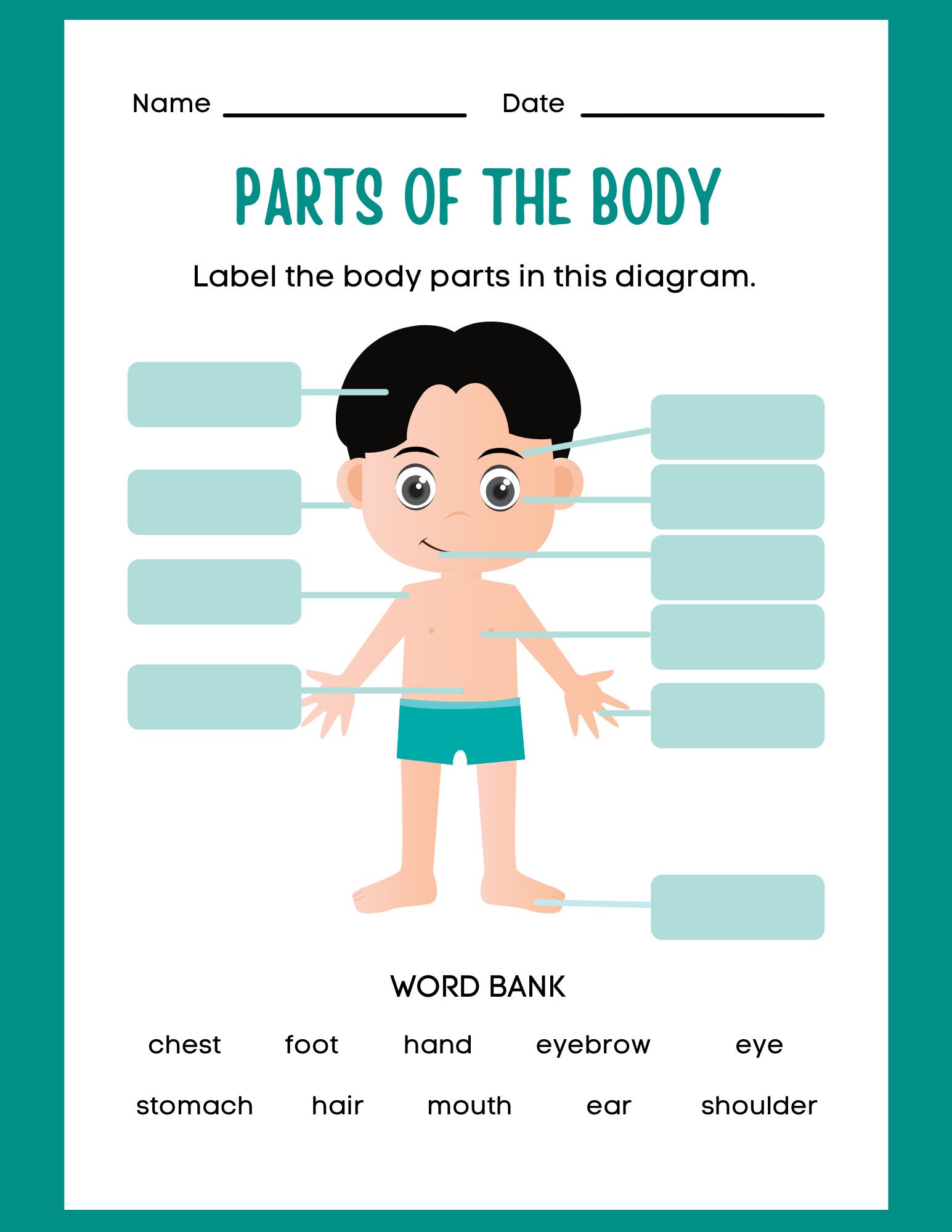 Human Body Parts Diagram Names