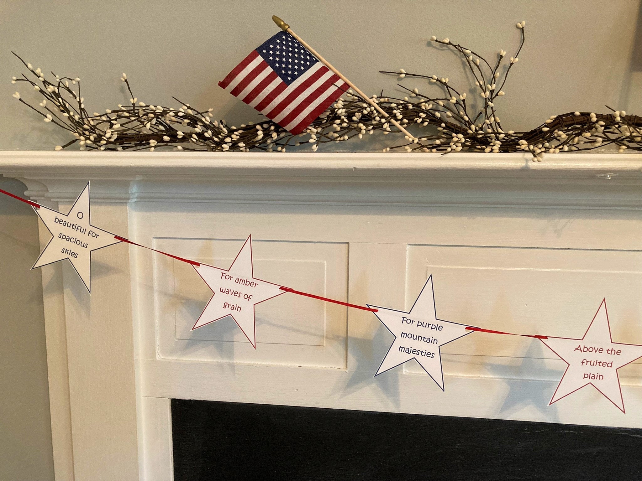 4th of July America the Beautiful Party Bundle, With Garland, Cake ...