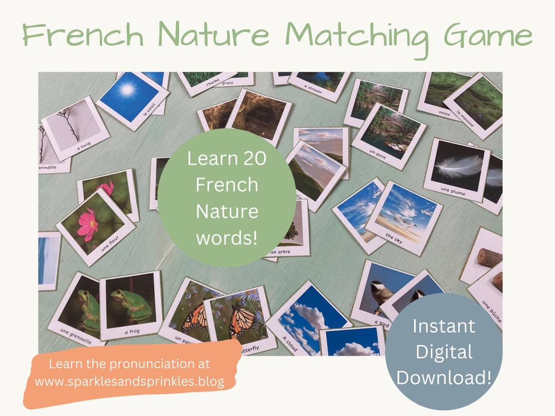 French English Nature Matching Game - Etsy