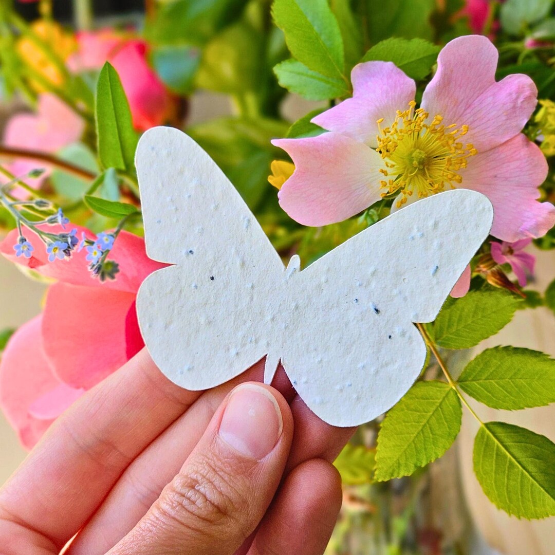 Bulk Seed Paper Butterfly Party Favor for Guest in Bulk Butterfly Seed ...