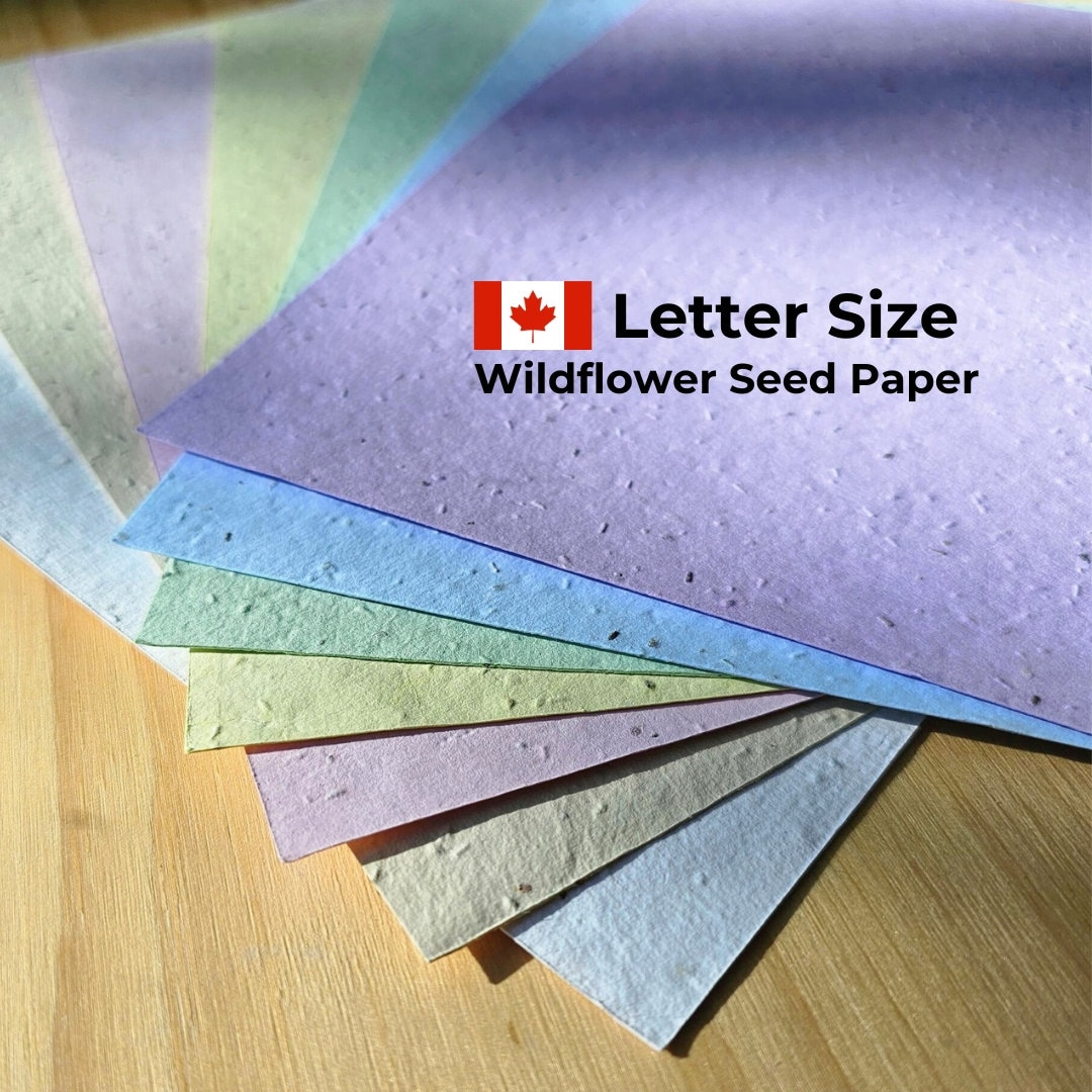 8.5" X 11" Plantable Wildflower Seed Paper Sheets Canada Printer Size ...